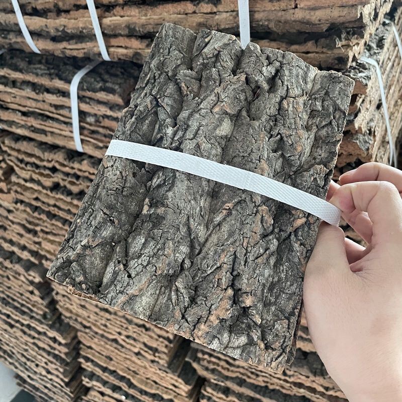 Champagne Wood Bark Spider Palace Guard Lizard Escape Feeding Box ...