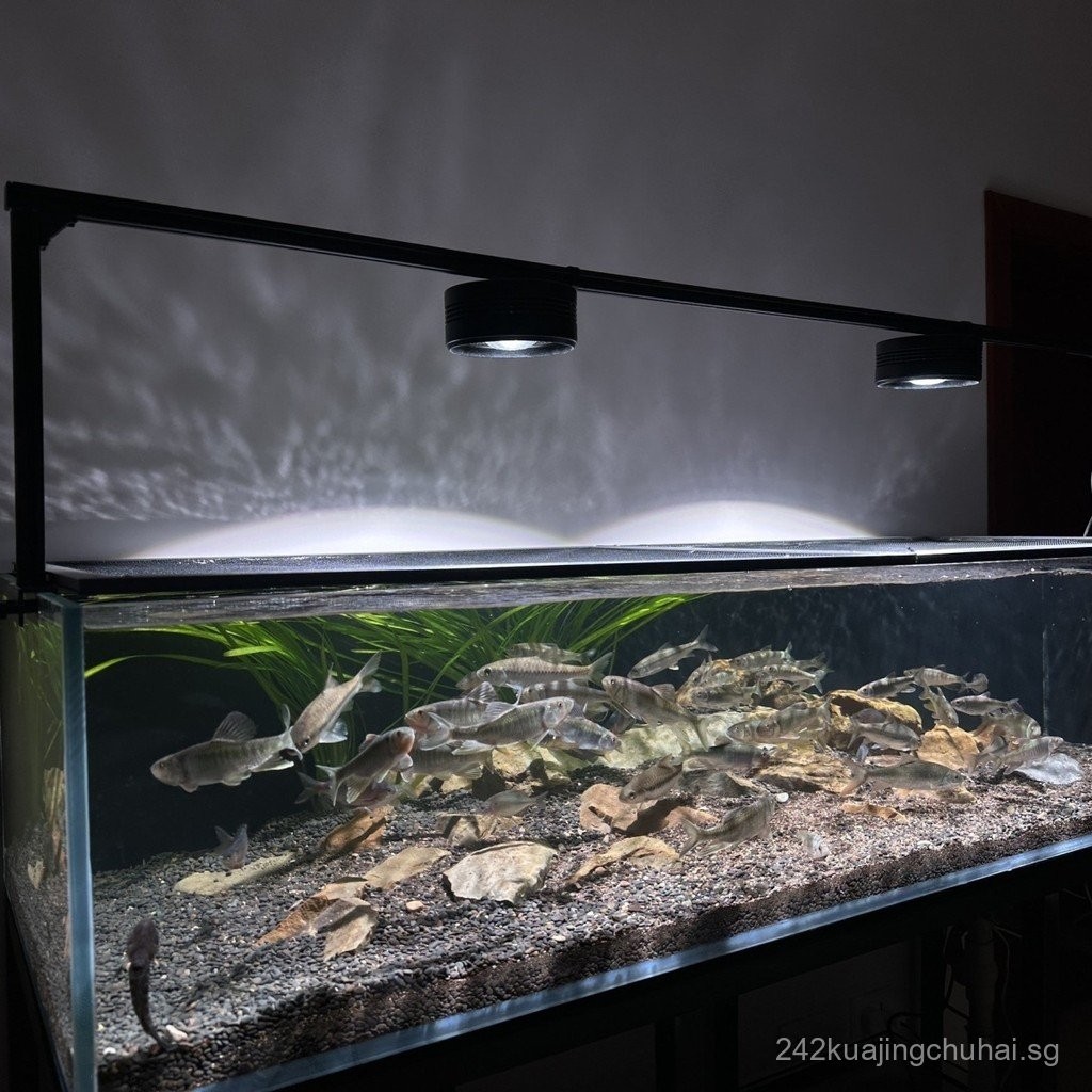 Fish Tank Light Bracket Aquatic Plant Light Stand Bucket Light Bracket ...
