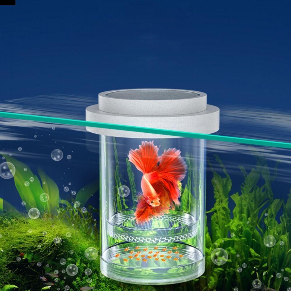 ANTIONE Floating Hatching Box, Single Layer Plastic Fish Breeding ...