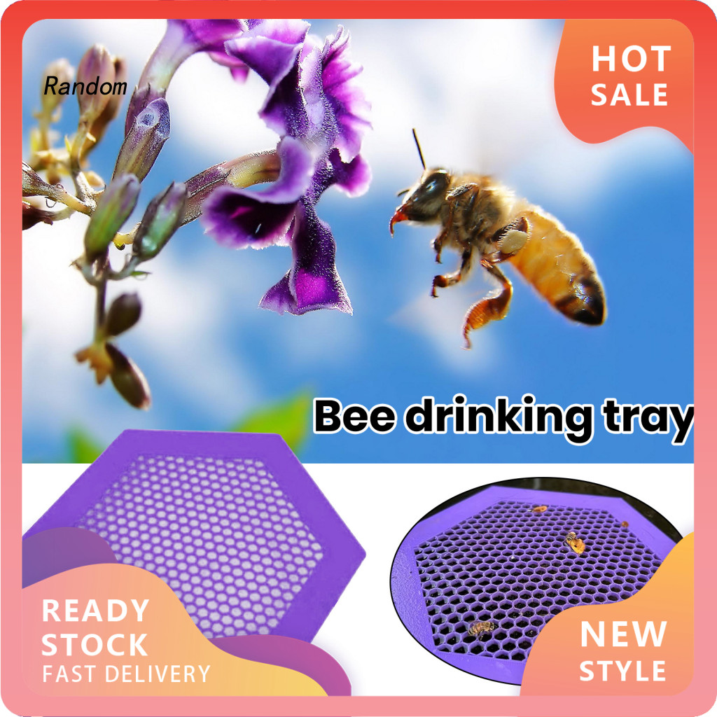 RAN Bee Drinking Tray Bee Water Station Bee Water Feeder Tray Keep Your ...