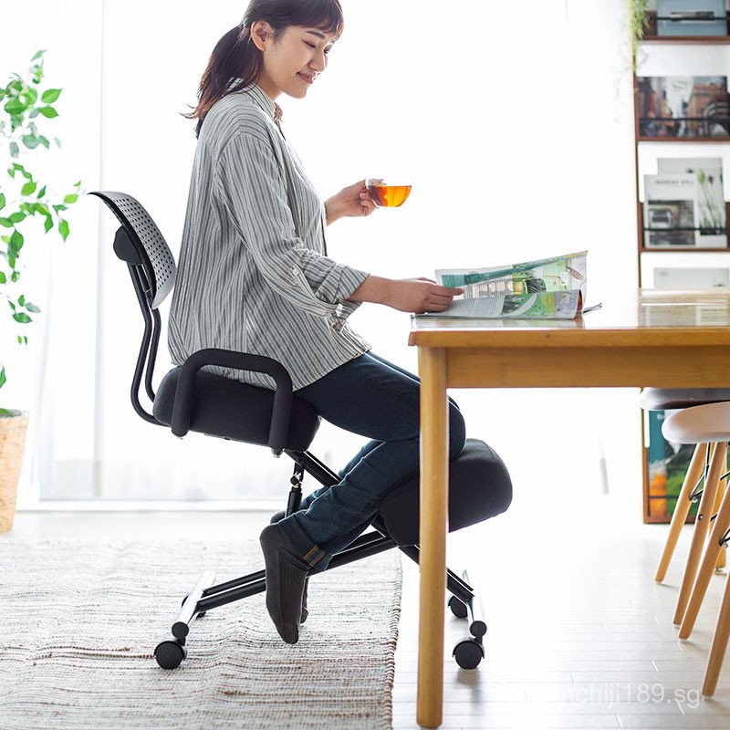 Japan SANWA Posture Correction Chair Ergonomic Chair Office Writing ...