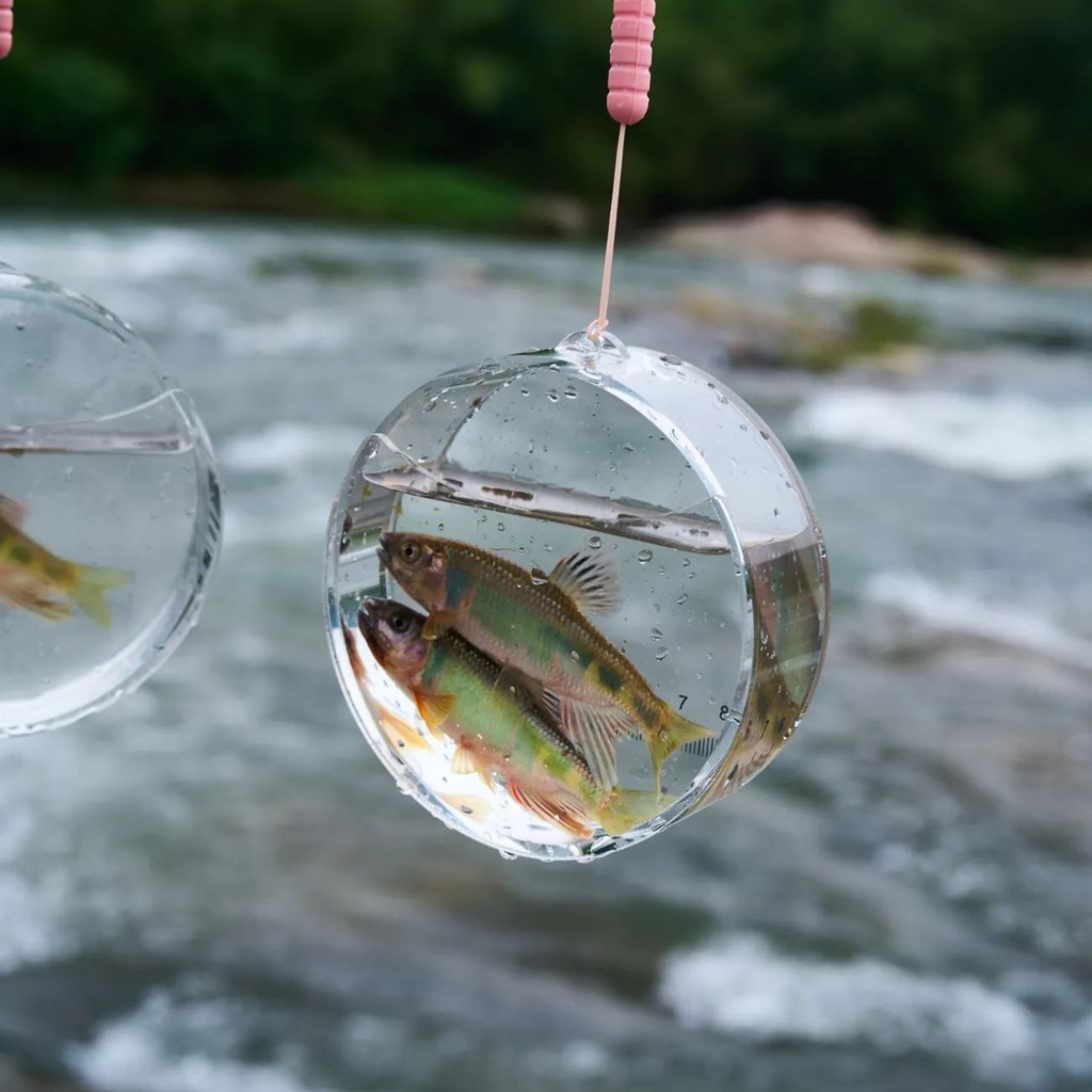 Acrylic Observation Box Wild Fish Picking Box Lure Photo Transparent ...