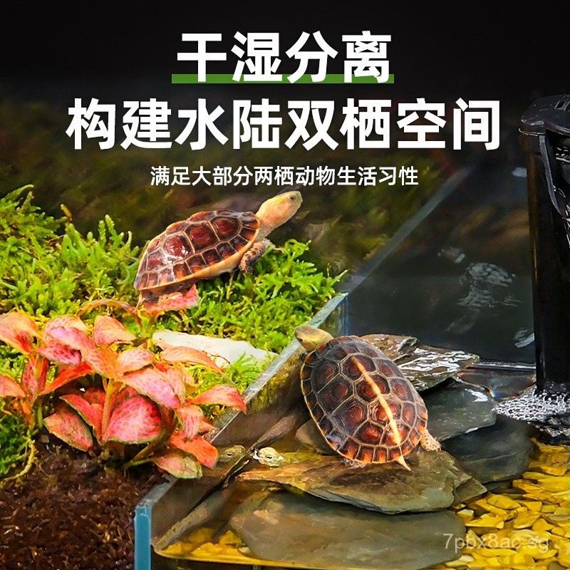 Turtle Breeding Tank Ultra-Clear Glass Ecological Aquatic and ...