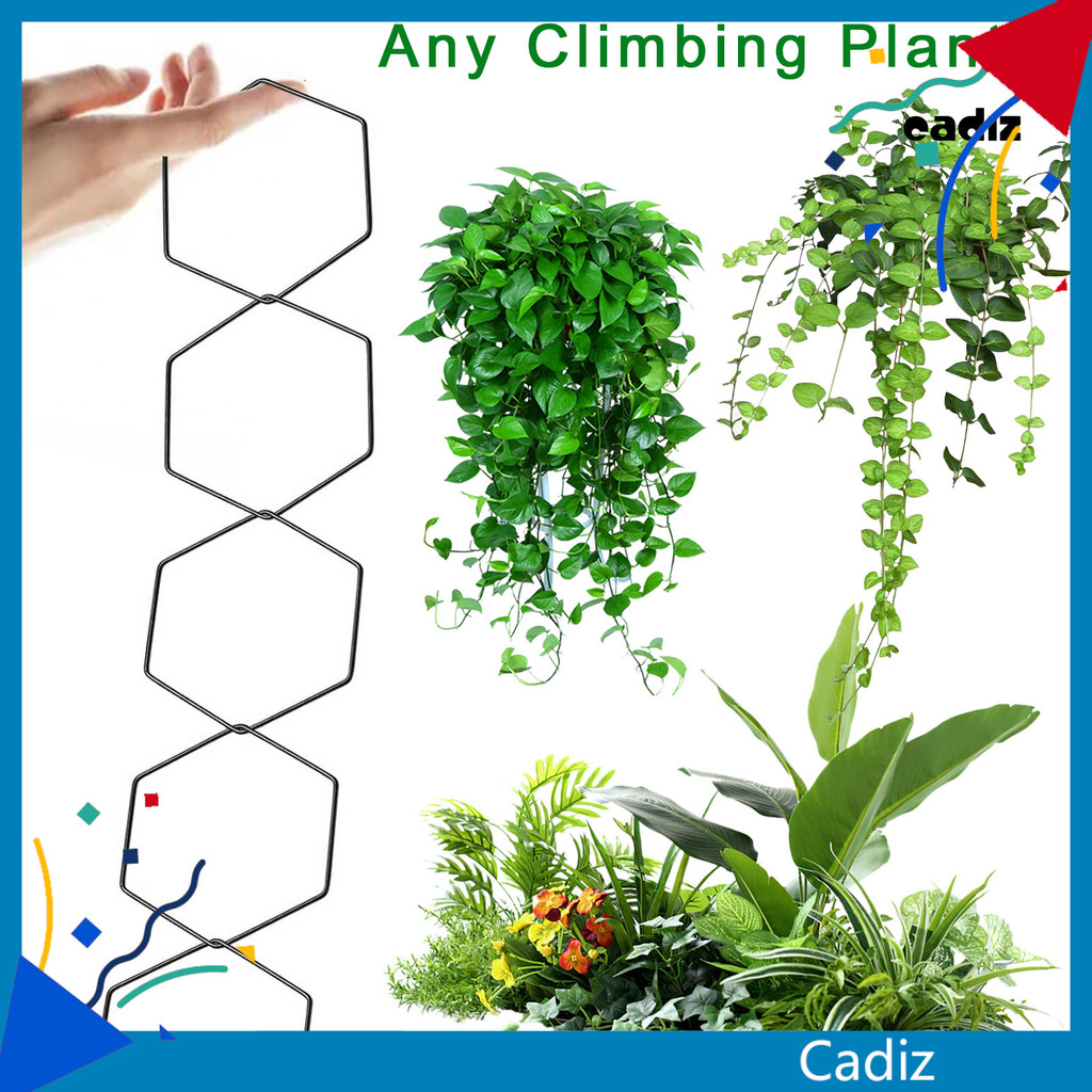 CAD Indoor Outdoor Climbing Plants Chain Trellis Weather Resistant ...