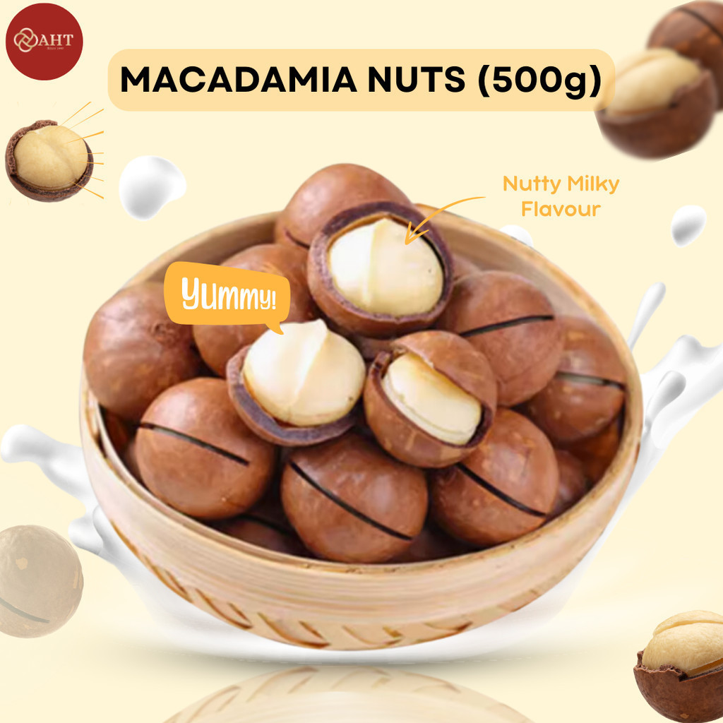 AHT Macadamia Nuts 500g 夏威夷果 Healthy Snack 健康零食 Dried Nut 坚果 Macadamia ...