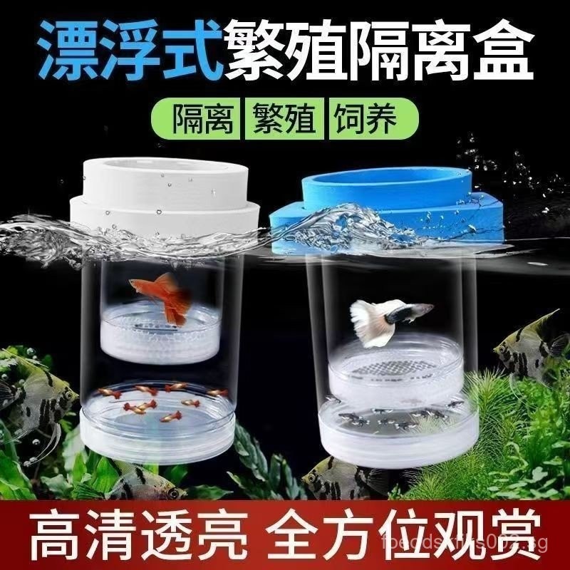 Guppy New Isolation Floating Fry Nursery Floating Incubation Isolation ...