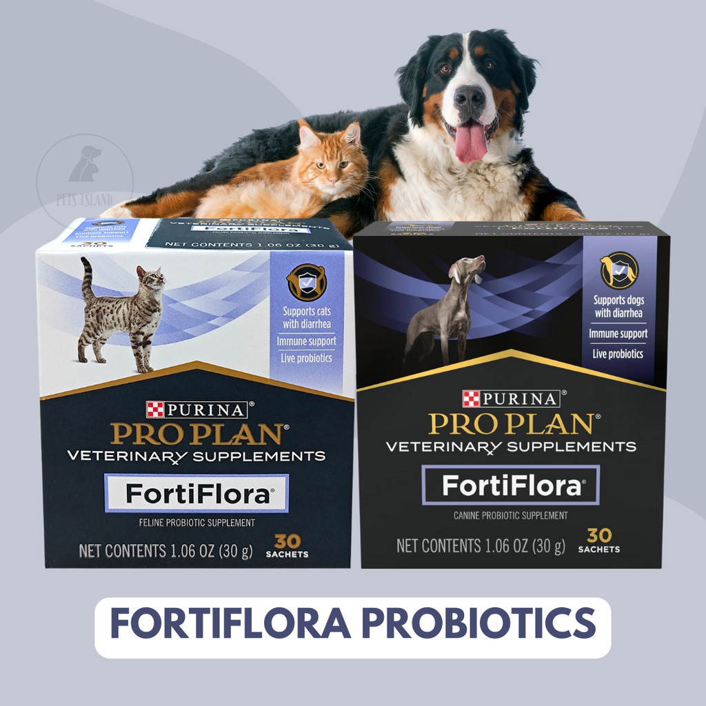 Purina Pro Plan Veterinary Supplements FortiFlora Powdered Probiotic ...