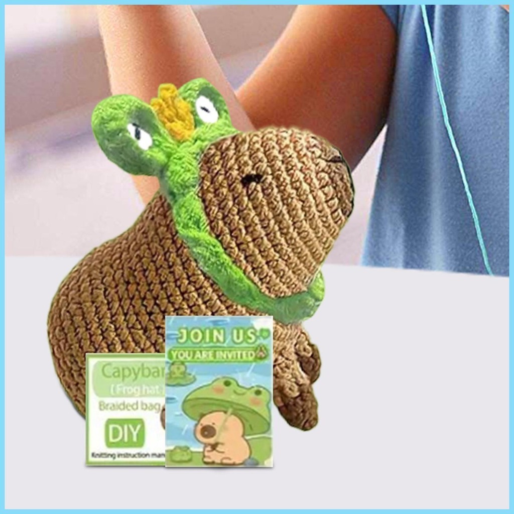 Crochet Kit For Beginners Capybara Yarn Kit for Crochet Capybara ...