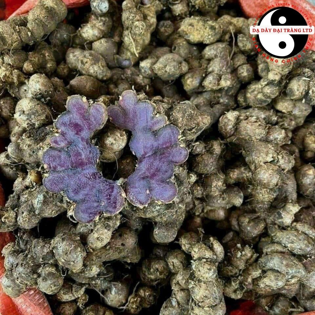 OXY Black ginger root, fresh Northwest purple wormwood type 1. Fresh ...