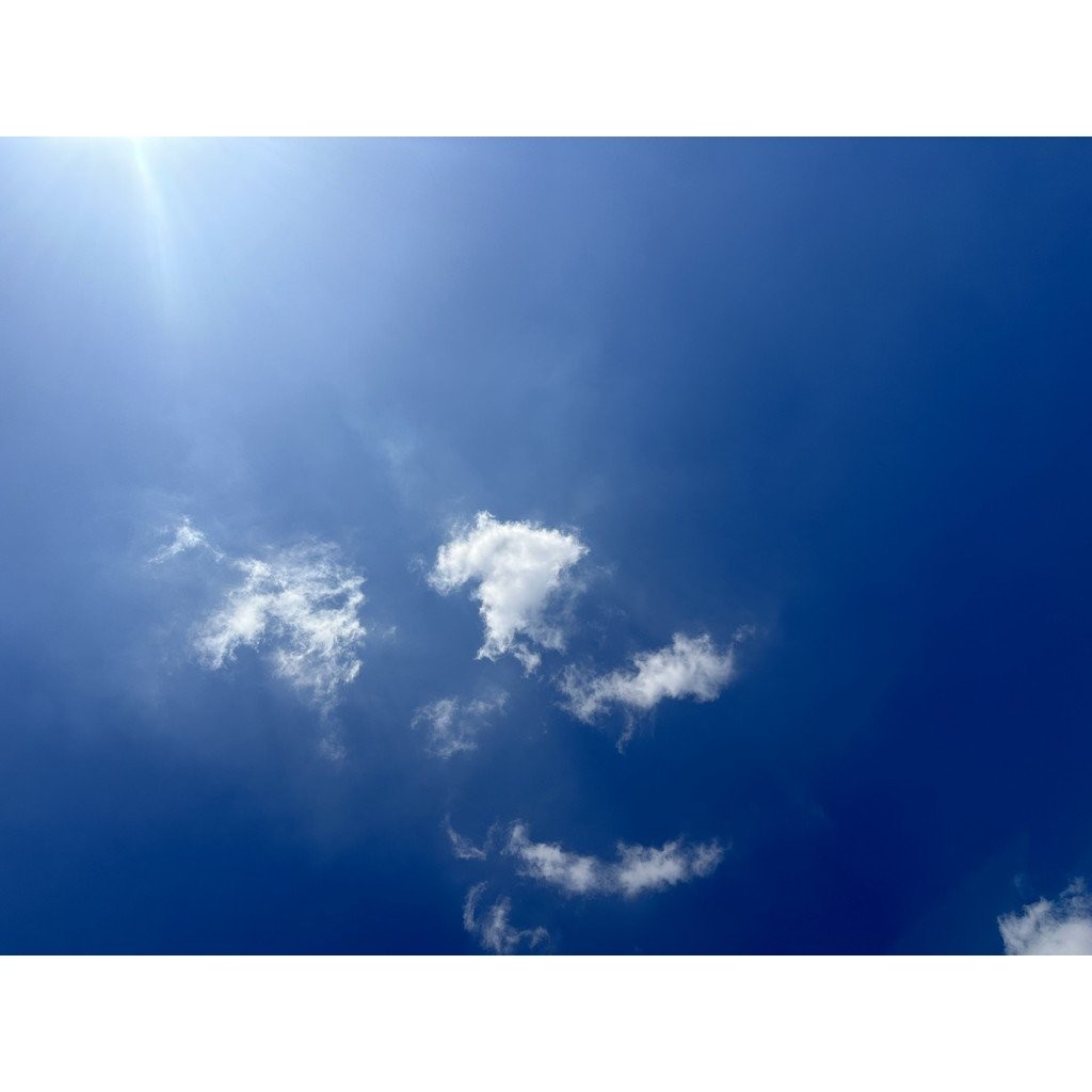 Injection Molding Platform Project3Miden High Ladder Ladder Inspection ...