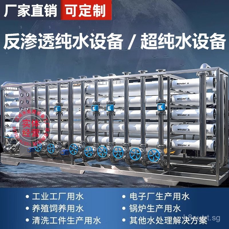 Large RO Double Pole Reverse Osmosis Pure Water Equipment EDI Ultra ...