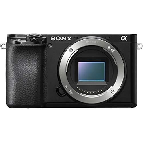 Sony Mirrorless interchangeable-lens camera 6100 body black ILCE-6100 B ...