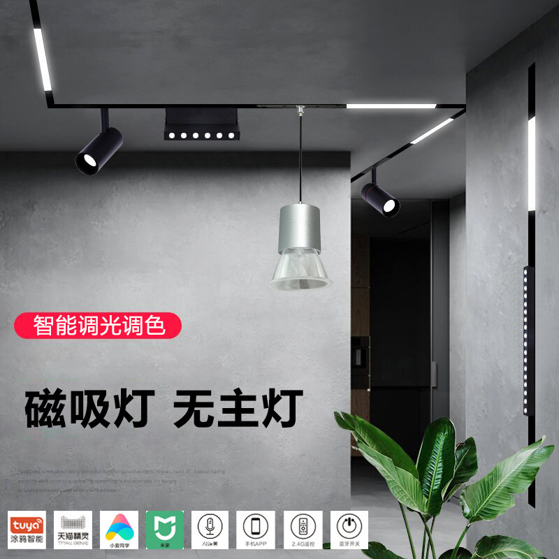 Factory Direct Supply16Smart Magnetic Track Light Ultra Narrow ...