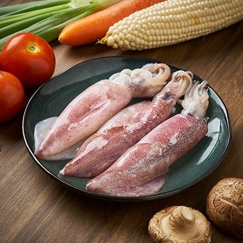 [Catch Seafood] Wild Caught Squid Whole | Shopee Singapore