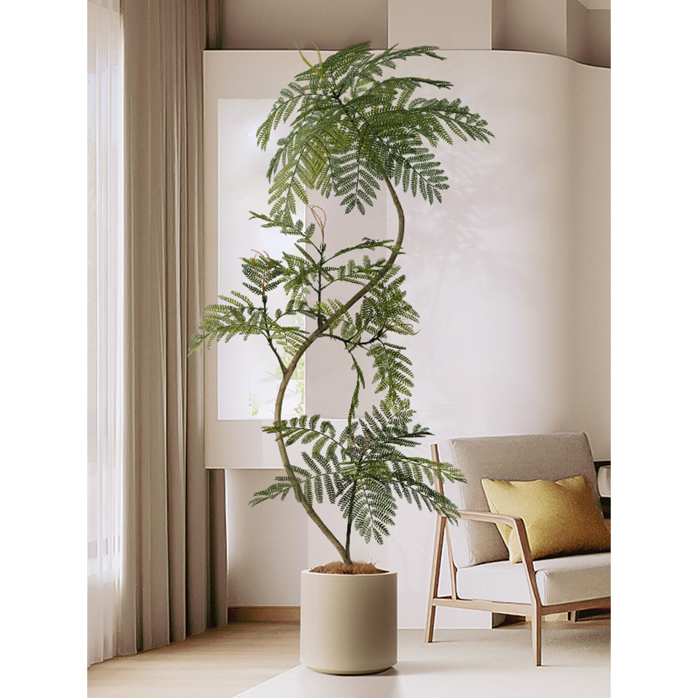 Jacaranda Mimosifolia Simulation Green Plant High-End Affordable Luxury ...