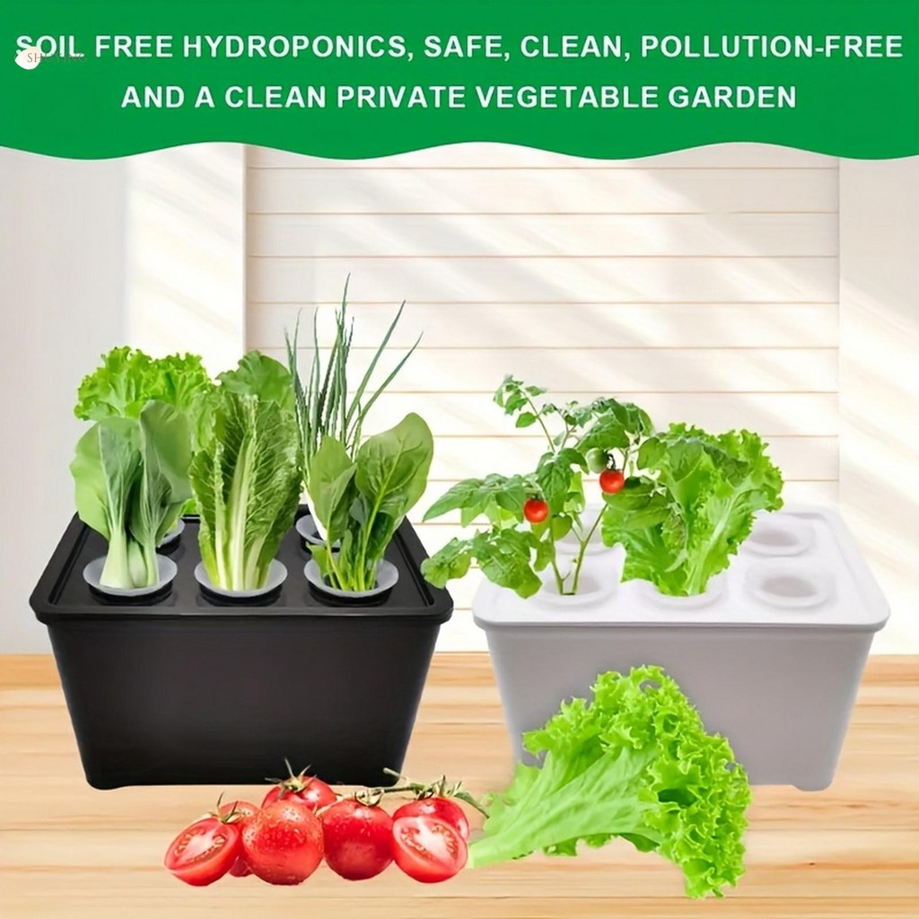 Hydroponic System Growing Box DIY Self Watering Indoor Hydroponics ...