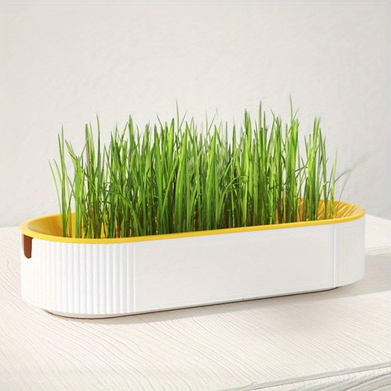 Hydroponic cat grass box Hydroponic soilless cat grass box | Shopee ...