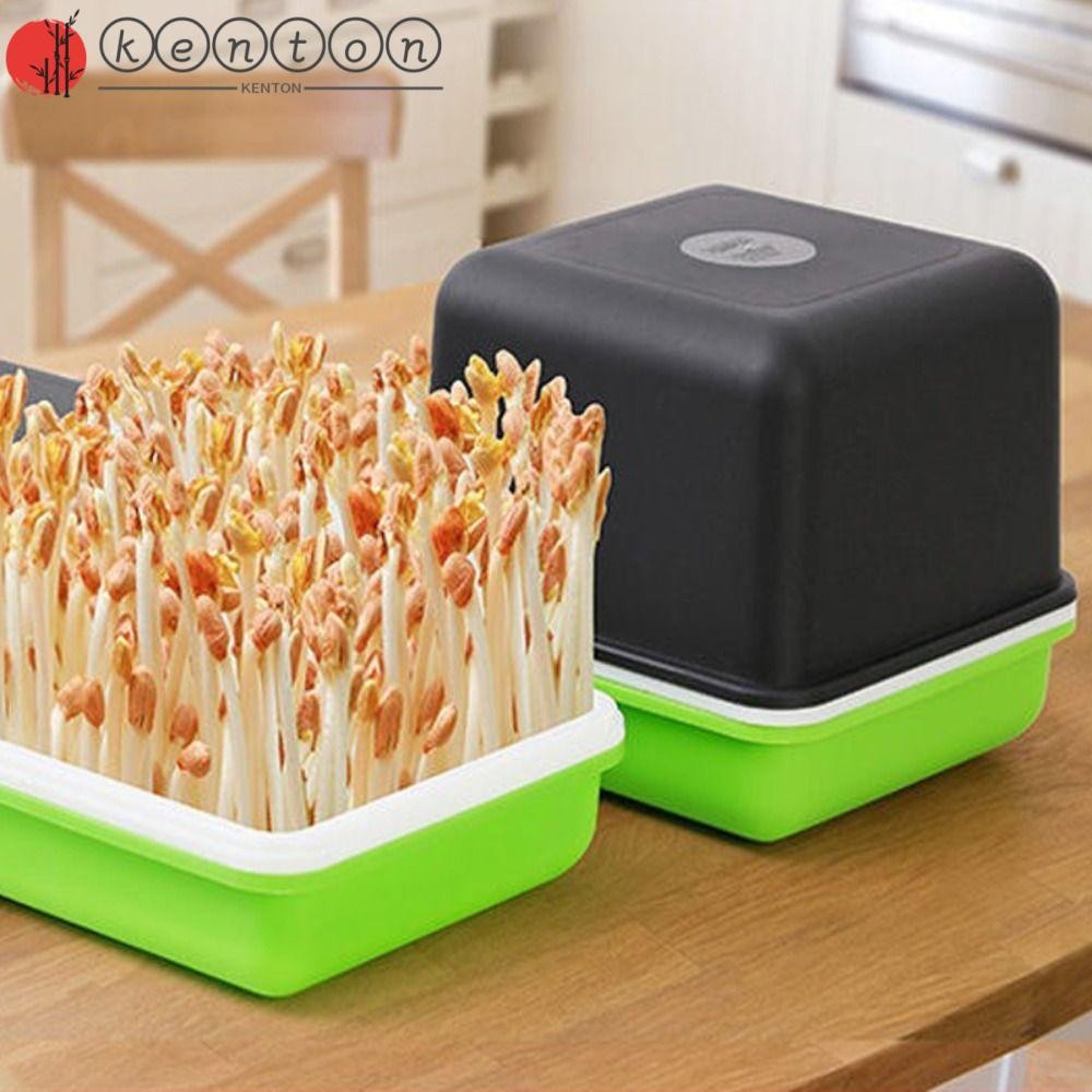 KENTON Seedling Tray Plastic 4 Piece Peanut Bean Sprout Hydroponic ...