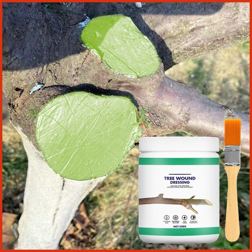 Tree Wound Repair Pruning Sealer for Tree Garden Bonsai Wound Healing ...