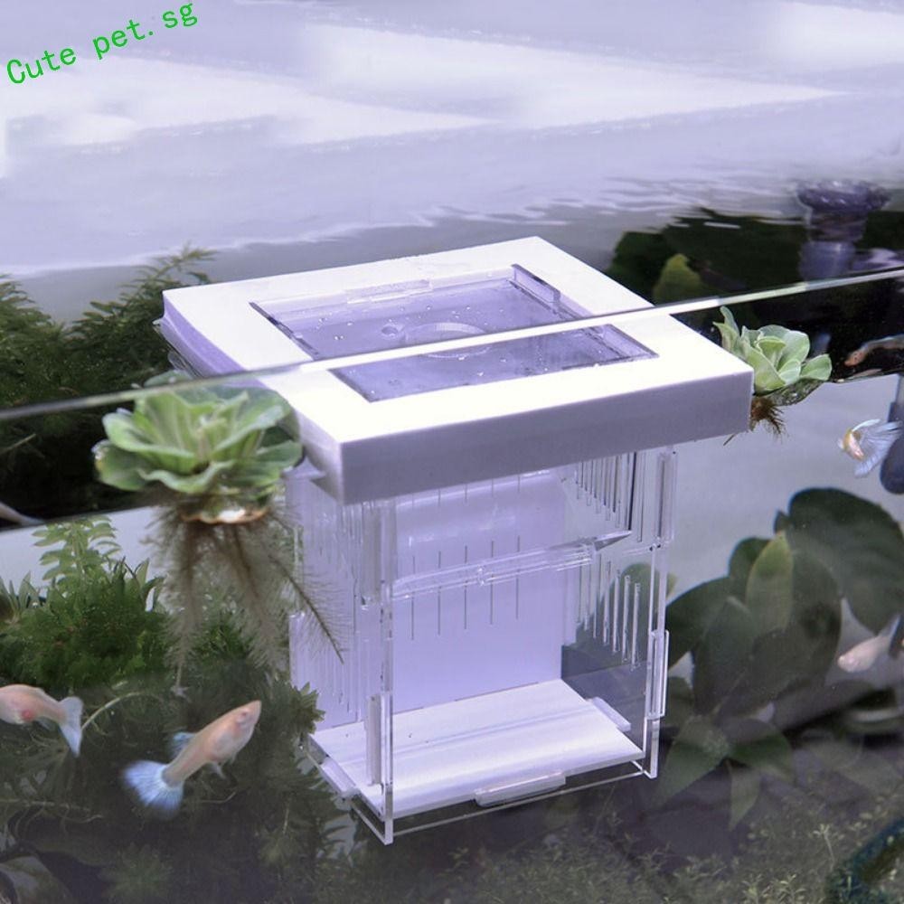 FUZOU Fish Isolation Box, Acrylic Detachable Floating Hatching Box ...