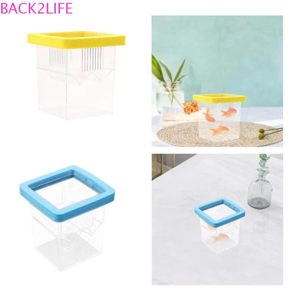 BACK2LIFE Floating Fish Breeding Box, Acrylic Square Aquarium Fish ...