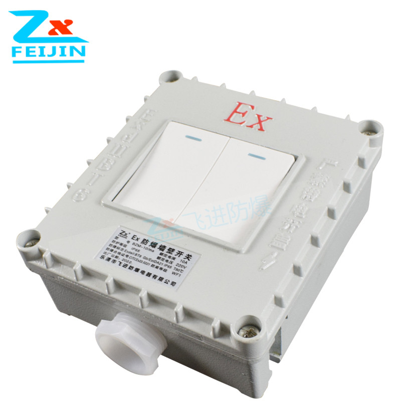 Explosion-Proof Wall Switch220V10A Open-Mounted Concealed86Single ...