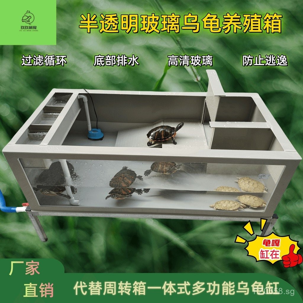 Plastic Turtle Tank for Hatchlings and Baby Turtles PP Transparent Tank ...