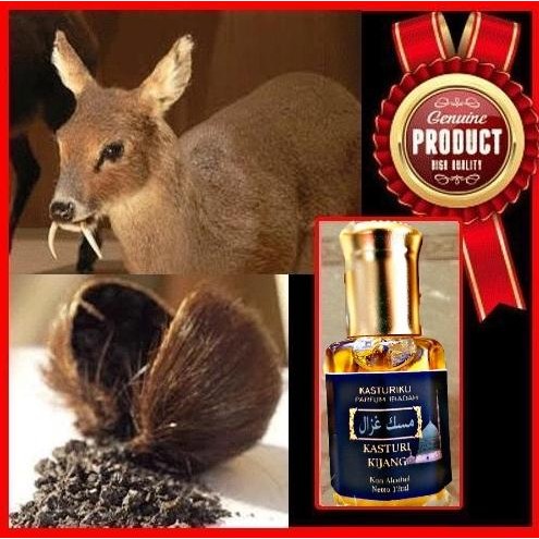 [SG SELLER] Authentic Deer Musk Perfume/Caramel Musk |Original Kasturi ...