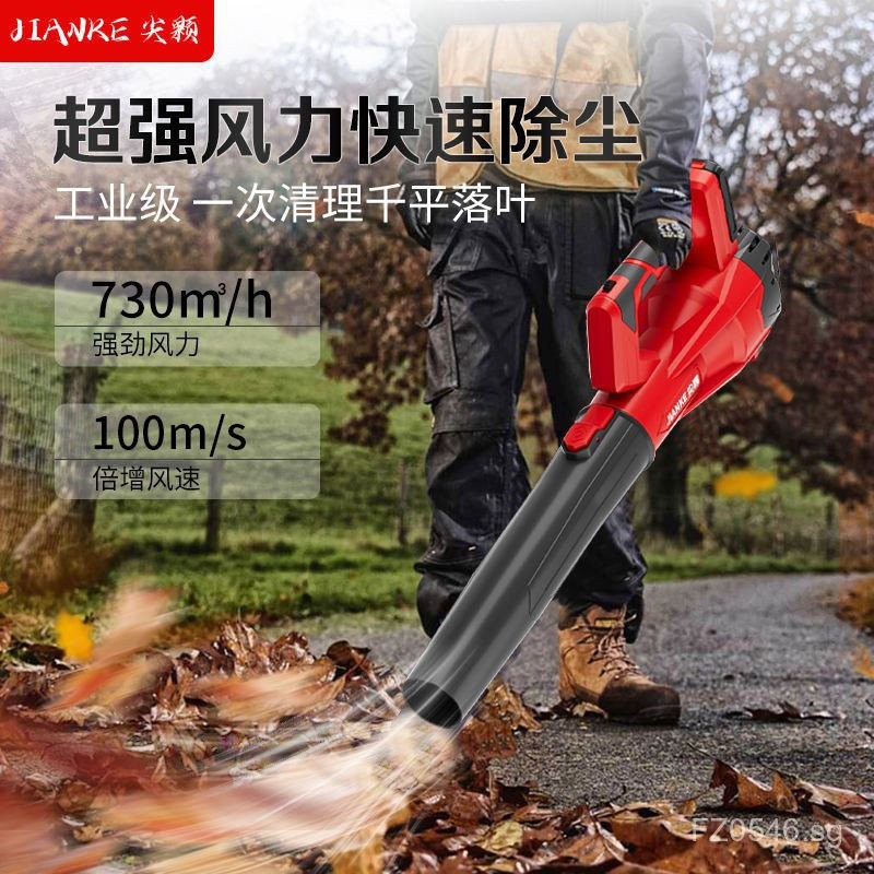 48V Rechargeable Dust Blower High Power Leaf Blower Electric High Power ...