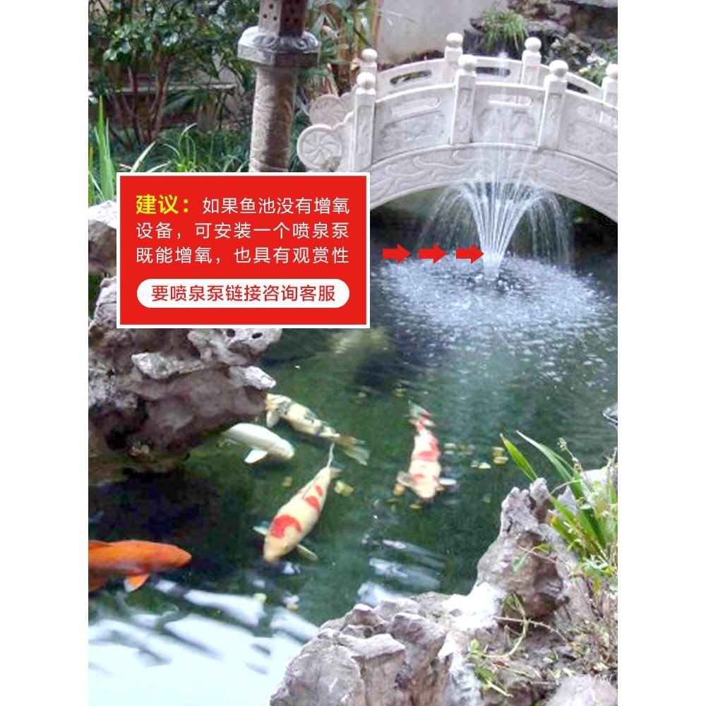 Debang Koi Fish Pond Special Methylene Blue for Comprehensive ...
