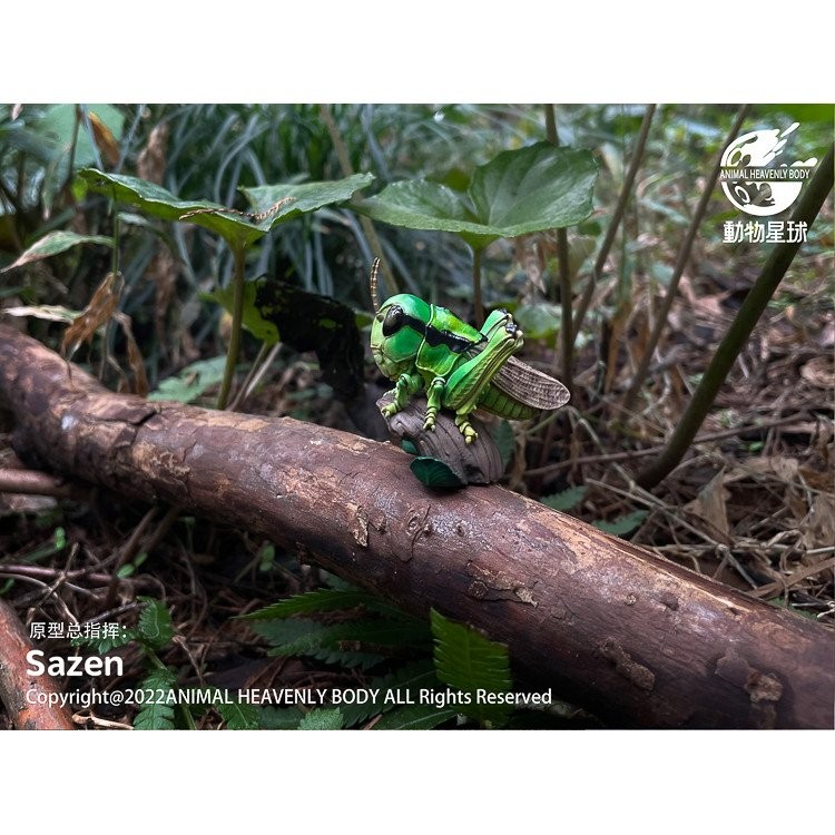 Animal Planet Heart Wide Body Fat Series11Insect Models: Tarantula ...