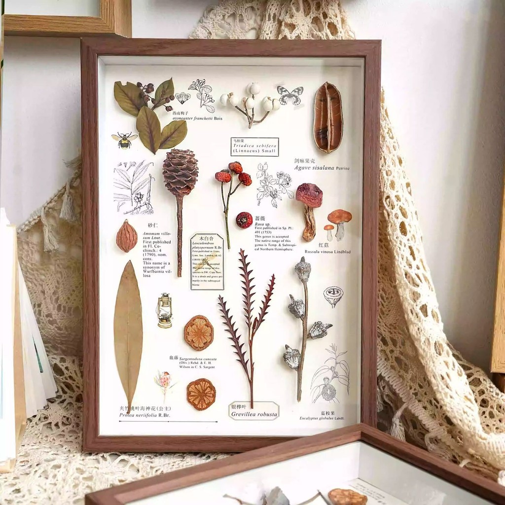Wood three-dimensional hollow photo frame DIY handmade specimens ...