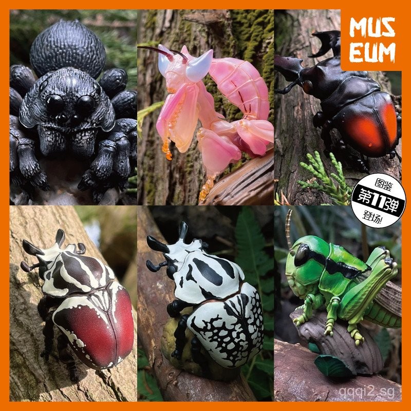 Animal Planet Heart Wide Body Fat Series11Insect Models: Tarantula ...