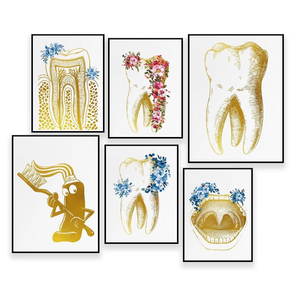 Golden Art Tooth Structure Section with Enamel Dentin Pulp Root Gums ...