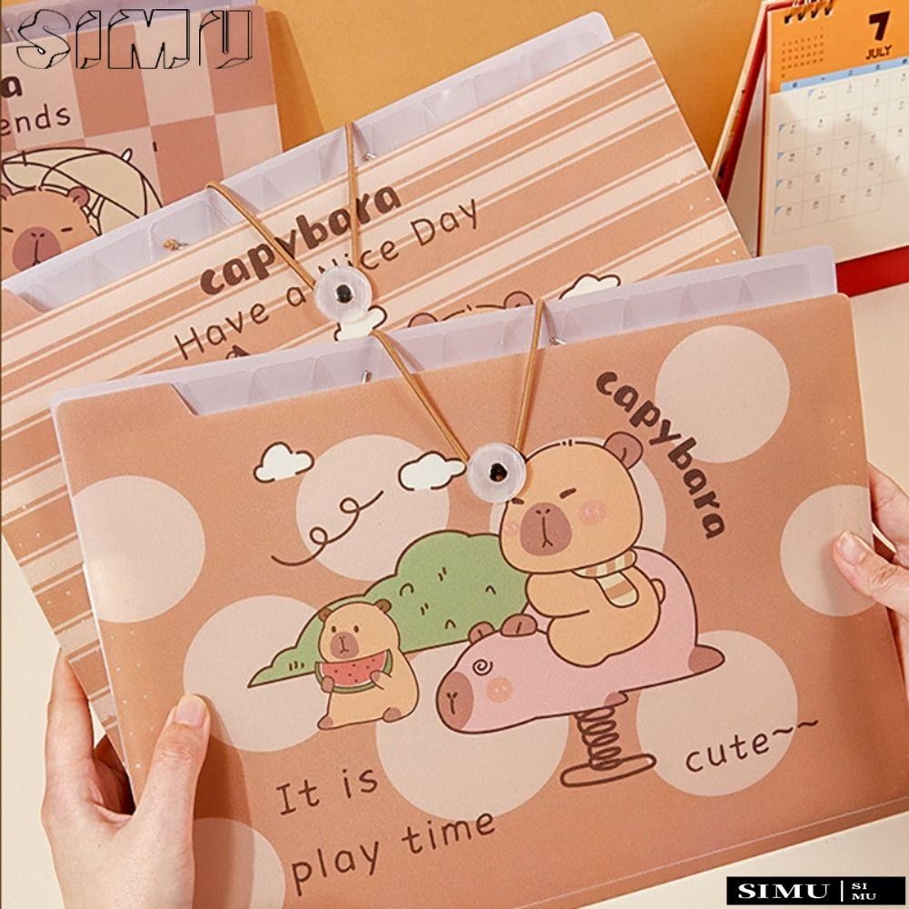 SIMULR A4 File Folder, PP 13 Pockets Test Paper Storage Folder ...