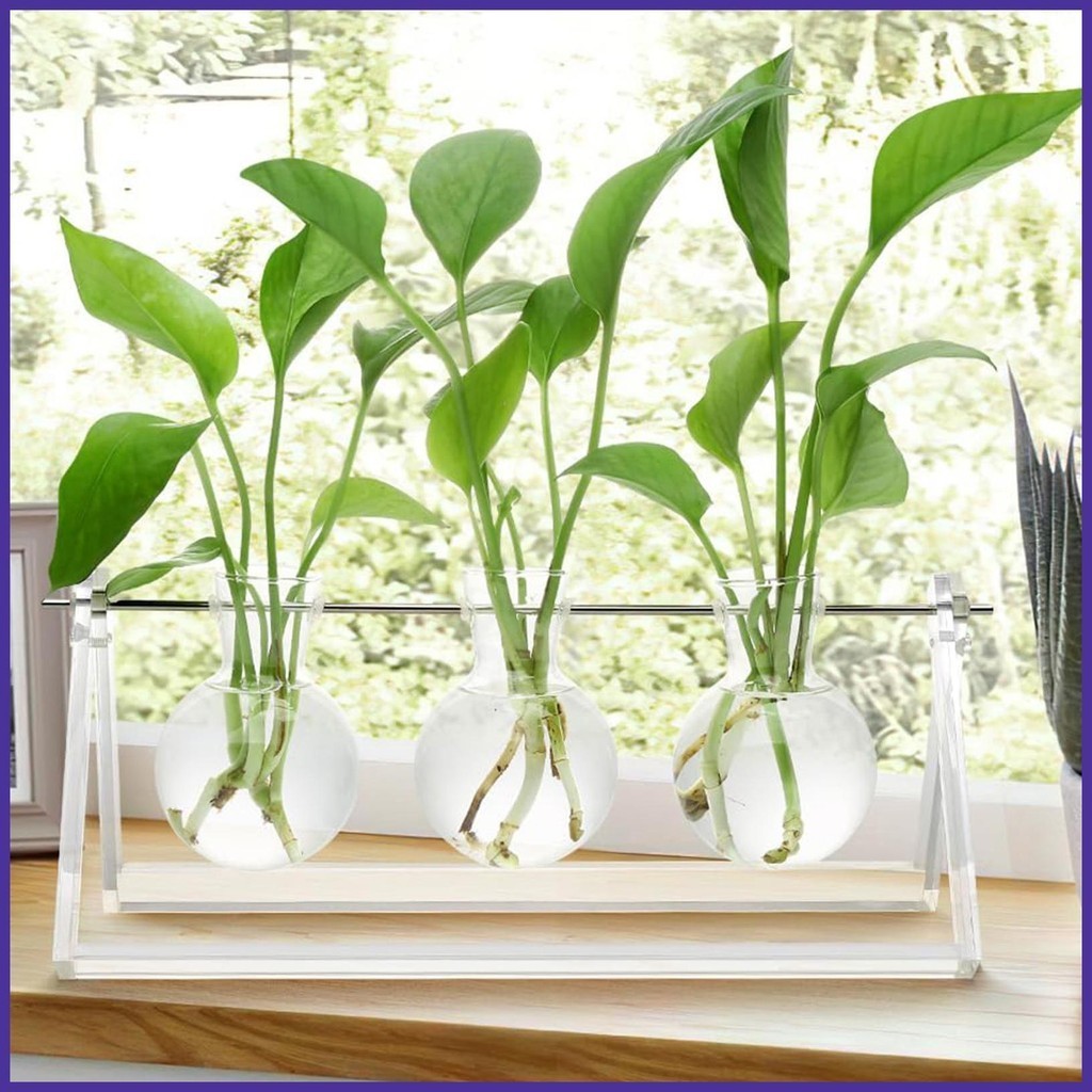Water Propagation Station Elegant Bulb Vase Test Tube Hydroponic Rack ...
