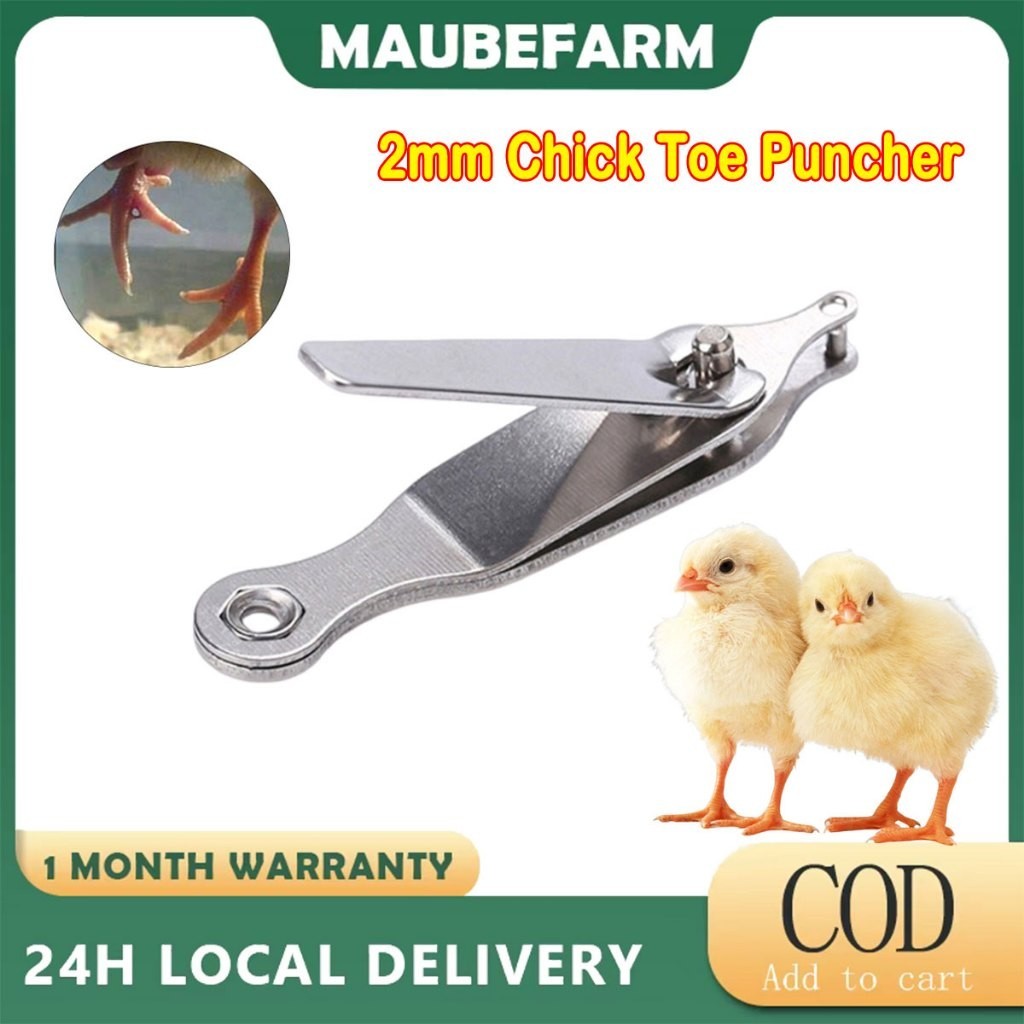 2mm Stainless steel Toe Puncher for Chicks Gamefowl Rooster Puncher ...