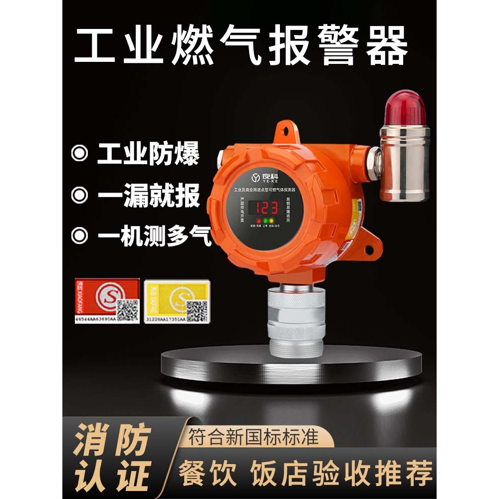 Gas Alarm Detector for Catering Industry Explosion-Proof Gas Leak ...