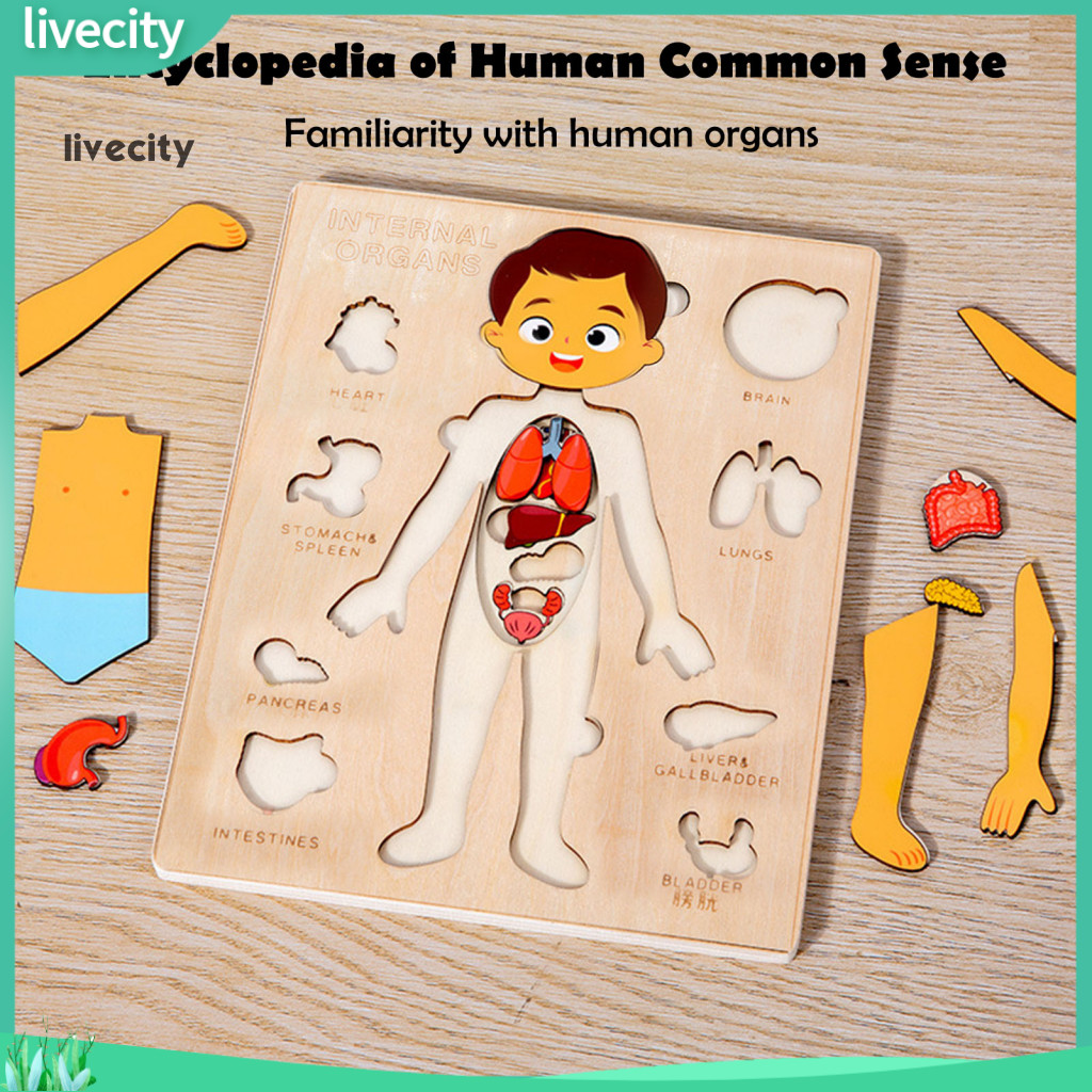 livecity| Body Parts Stem Toy Solid Wood Body Puzzle Wooden Body Puzzle ...