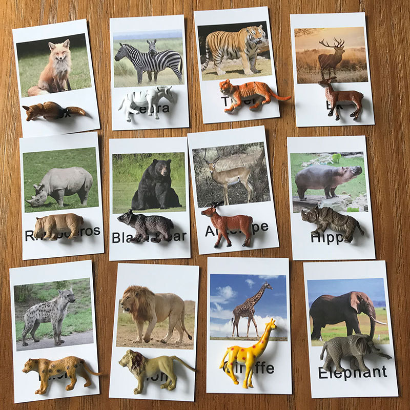 10 types Lifelike Montessori Animal Match Cards,Miniature Poultry ...