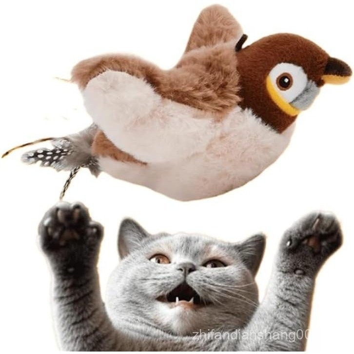 Paw Moon Wonder Bird (Sparrow) | Shopee Singapore