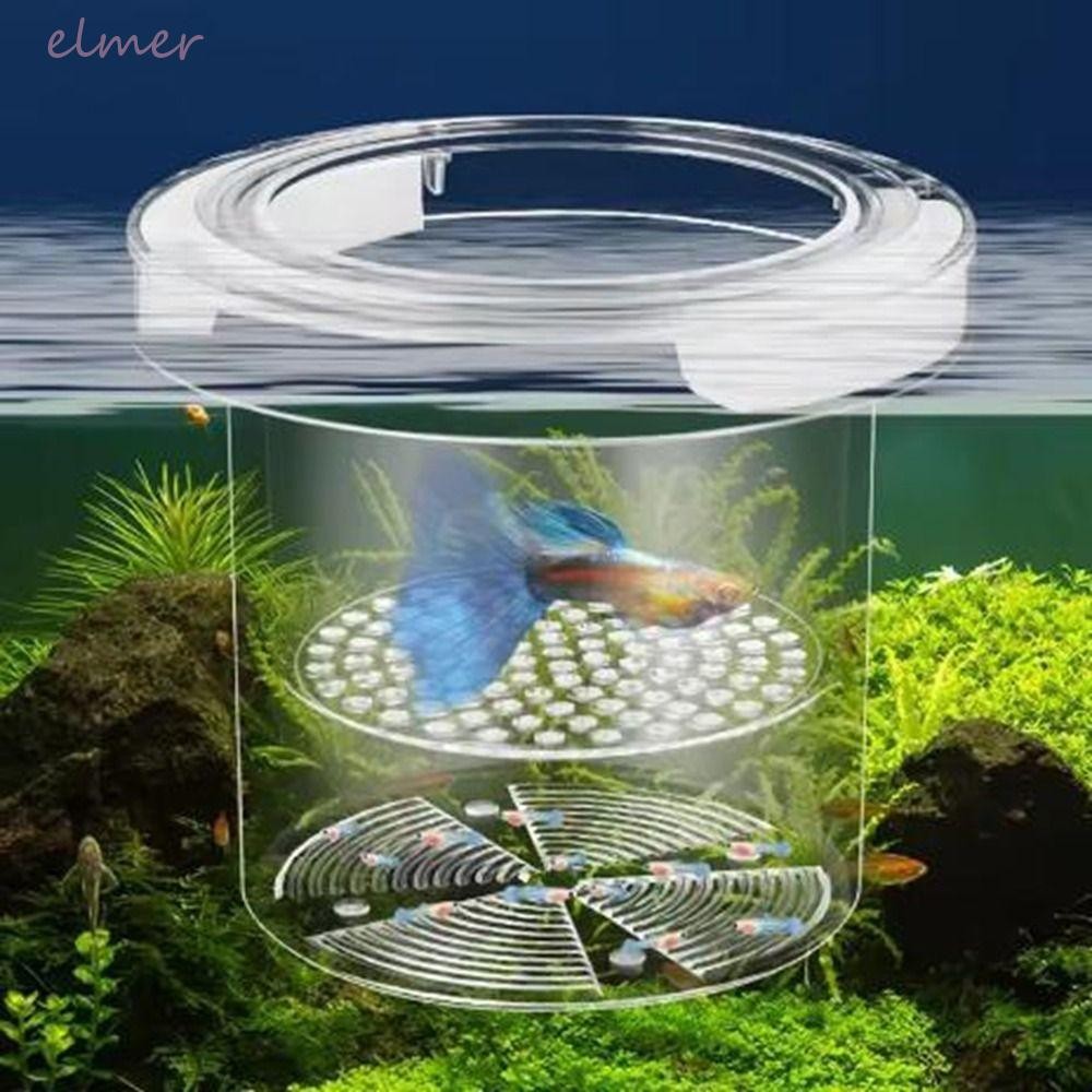 ELMER Floating Fish Breeding Isolation Box, Acrylic Transparent ...