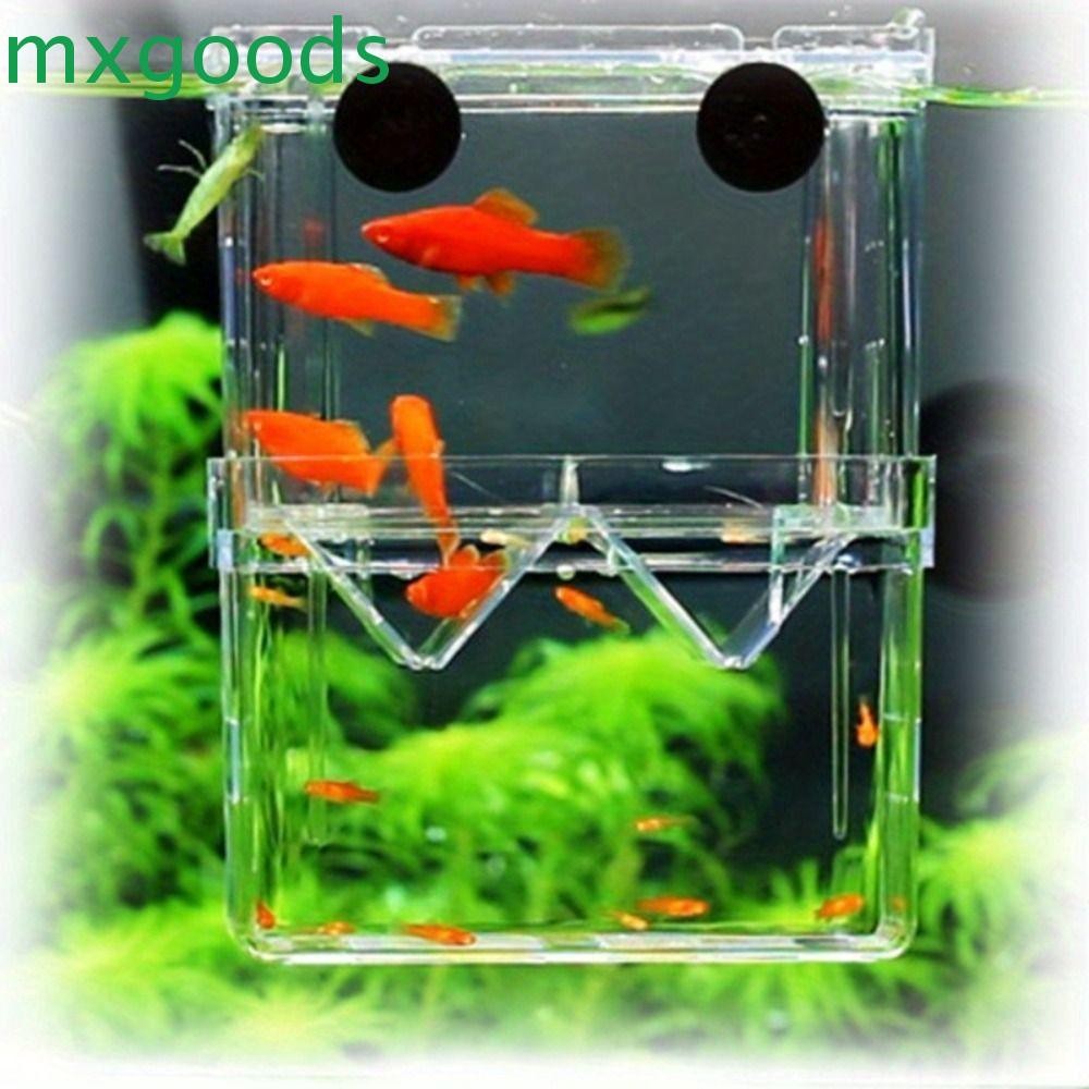 MXGOODS Aquarium Breeder Box, Multi Size Durable Baby Fish Hatching ...