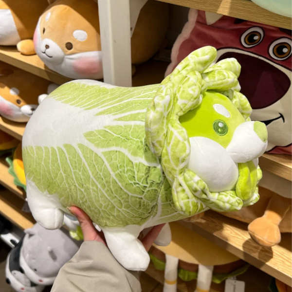 toy bear butter bear Plush Toy Cabbage Dog Doll Elf Vegetable Lettuce ...