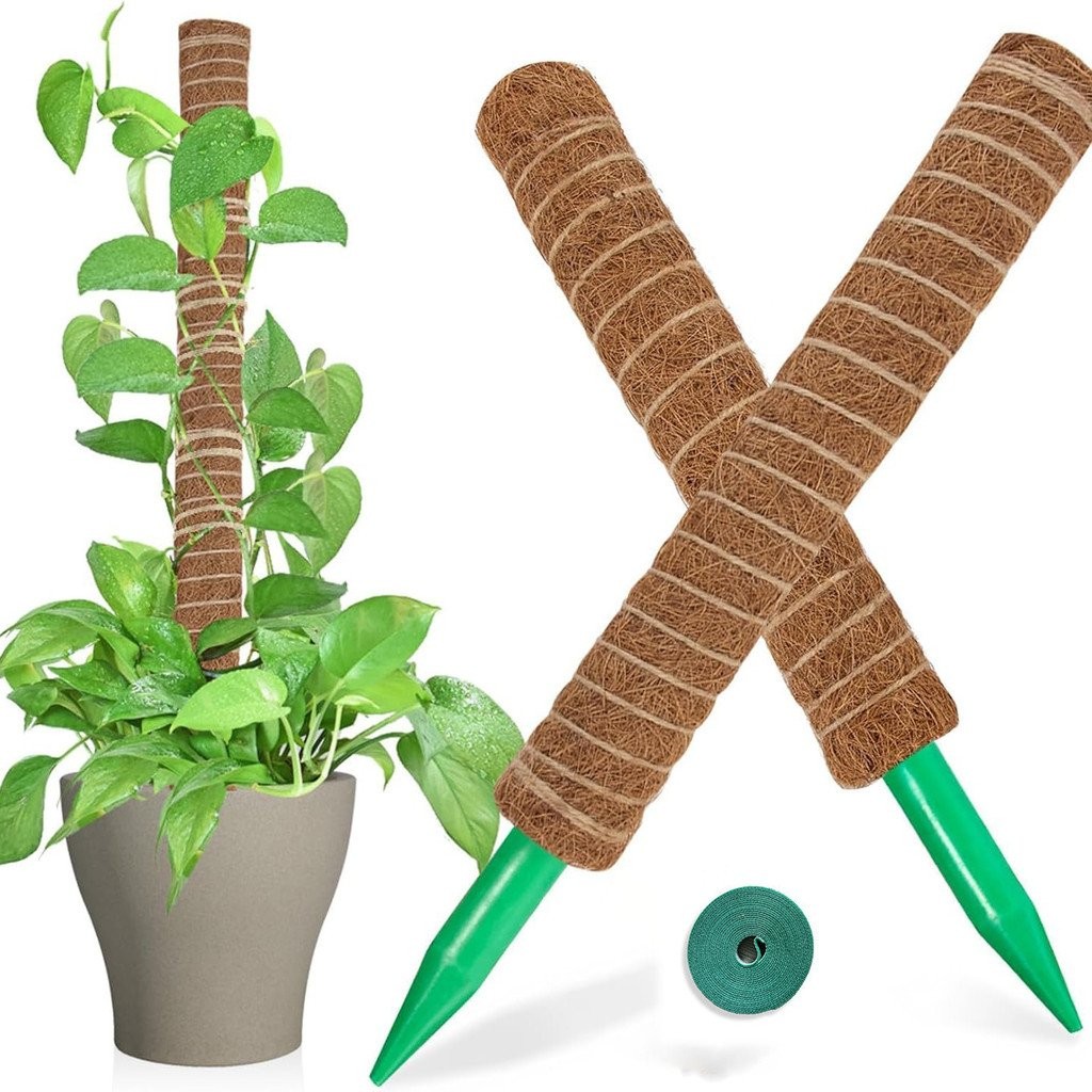 Monstera Support Rod Green Radish Column Fixed Bracket Palm Column ...