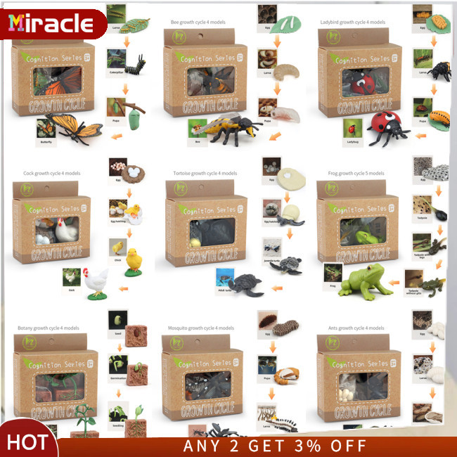 MIRACLE Life Cycle Animal Figurines Insect Animal Plant Growth Cycle ...
