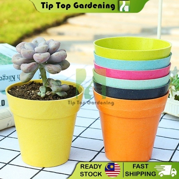 TIPTOP (8.5 x 7 cm) Biodegradable Fiber Flower Pot Gardening Planting ...
