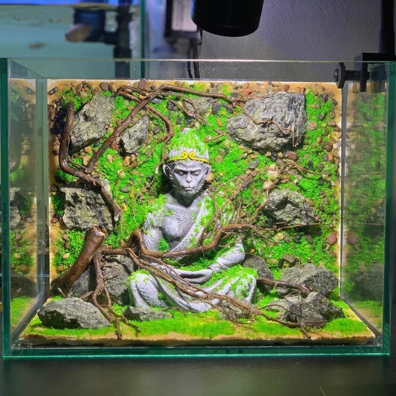 [Fish tank+Layout Combo] Wukong meditating fish tank Layout with 2 pre ...