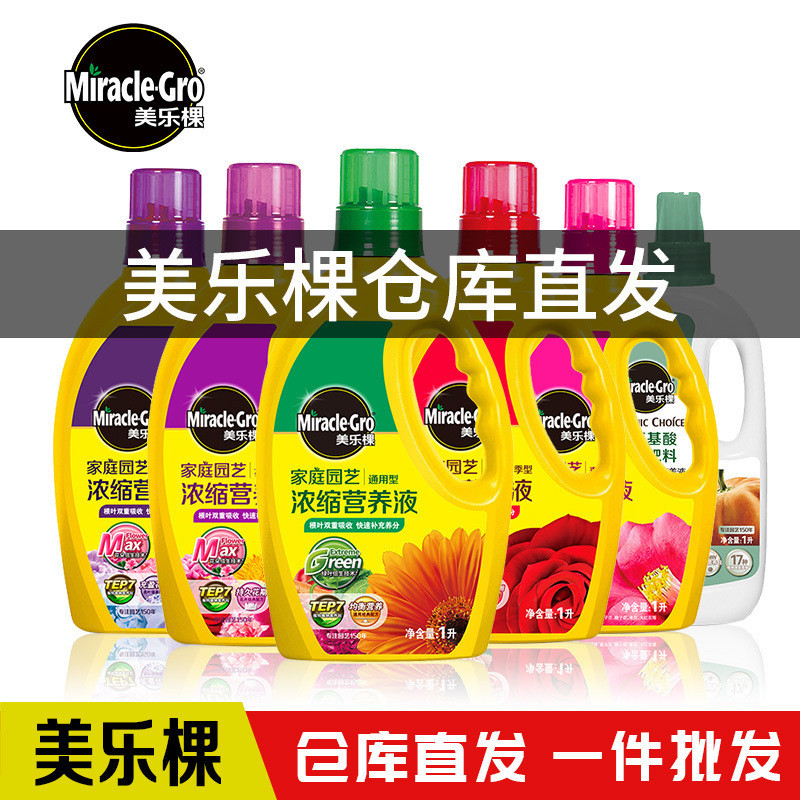 Spot Goods#Miracle · Gro Plant Nutrient Solution Potted Green Radish ...