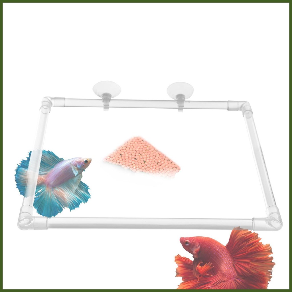 Aquarium Floating Plant Rings Fish Feeder Betta Feeder Ring Fish Tank ...